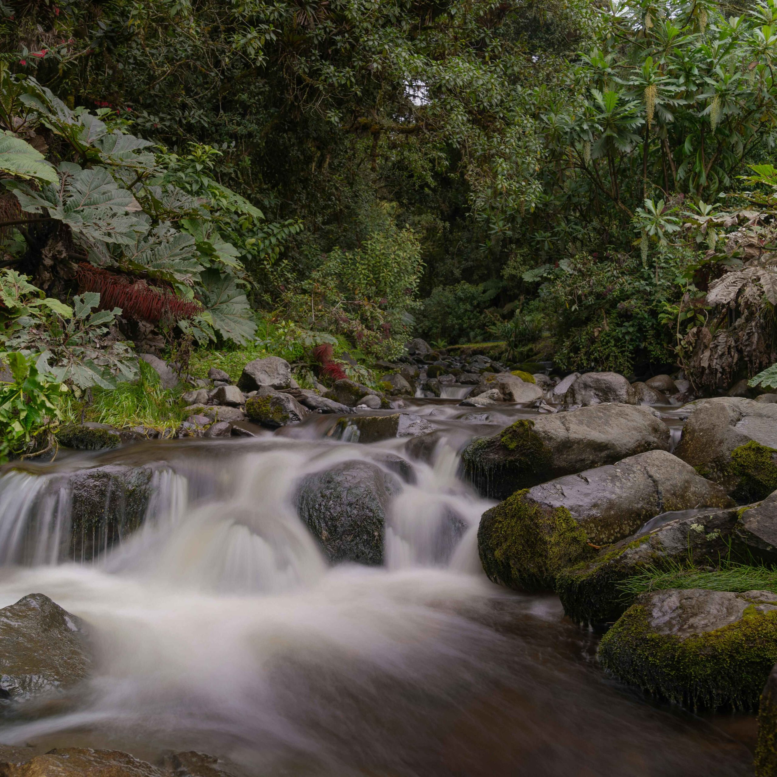 Contact - ST Collection